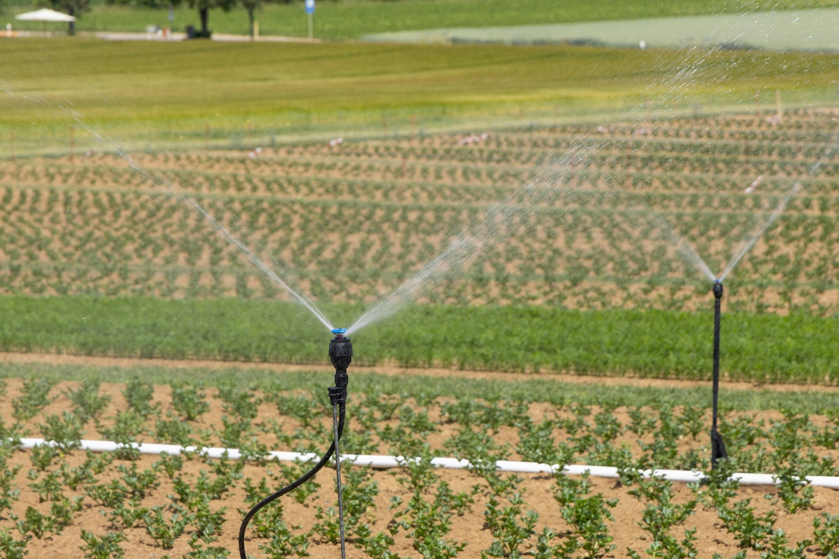 Fertigation: How to Optimize Nutrient Delivery and Boost Crop Yields ...