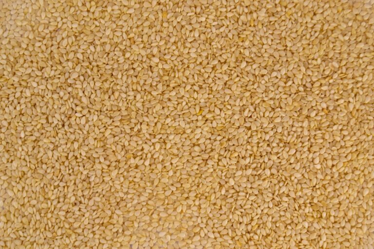 How to Cultivate Sesame: Complete Growing Guide for American Farmers ...