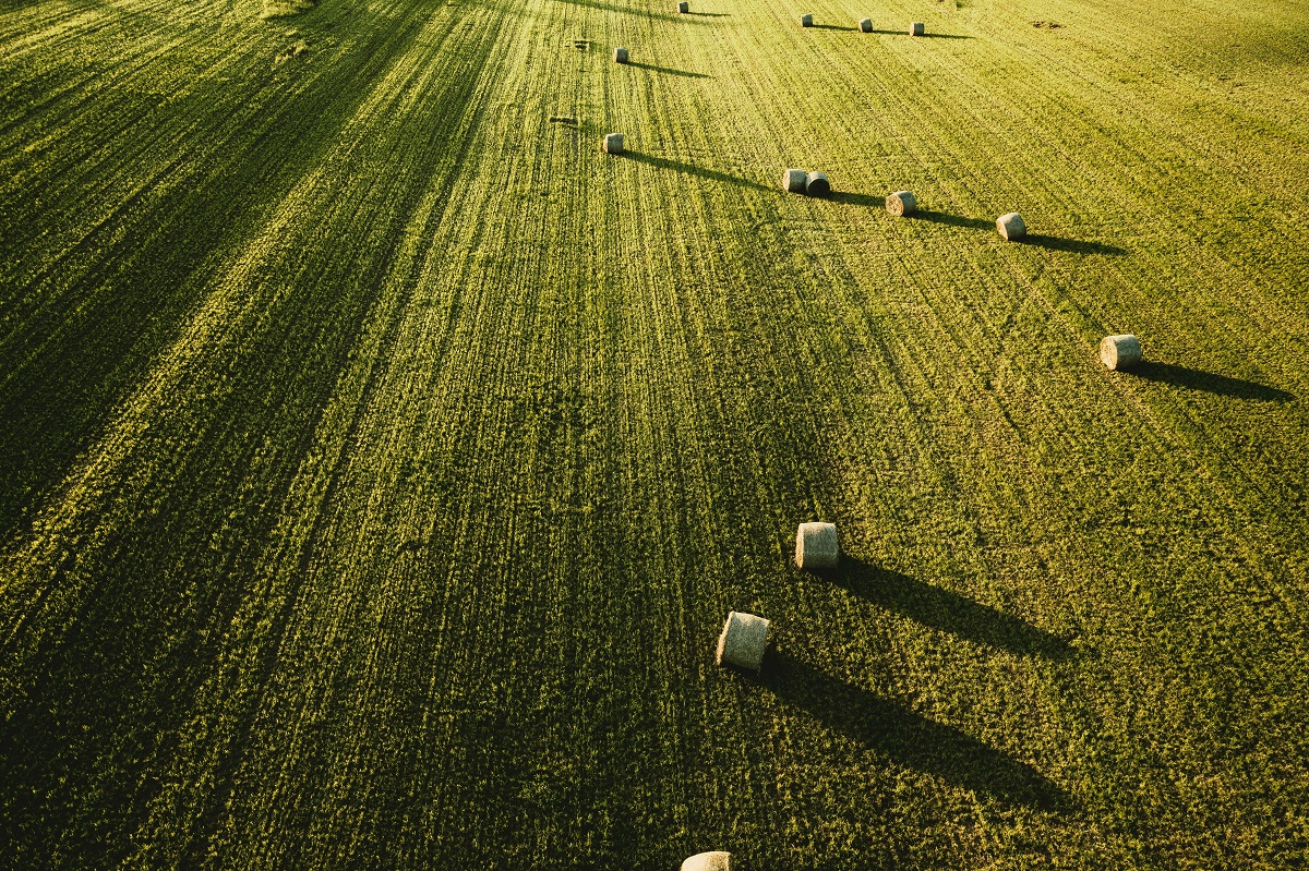 What Is Hay? Complete Production Guide for Quality Forage | American ...