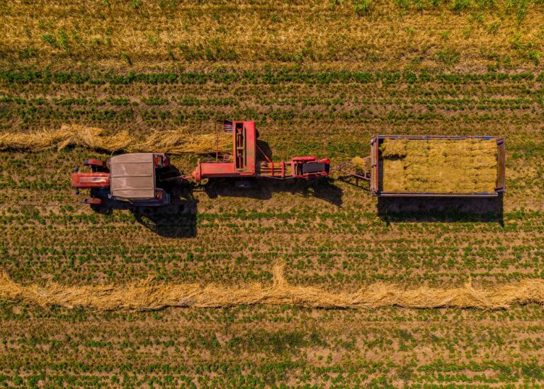 What Is Hay? Complete Production Guide for Quality Forage | American ...