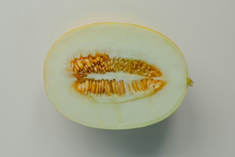 How to Grow Melons: Varieties, Planting Tips, and Best Practices for a ...