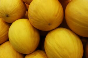 How to Grow Melons: Varieties, Planting Tips, and Best Practices for a ...