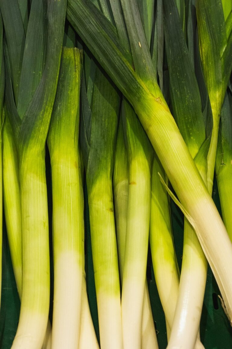 How to Grow Leeks: Complete Guide to Planting and Harvesting Leeks ...