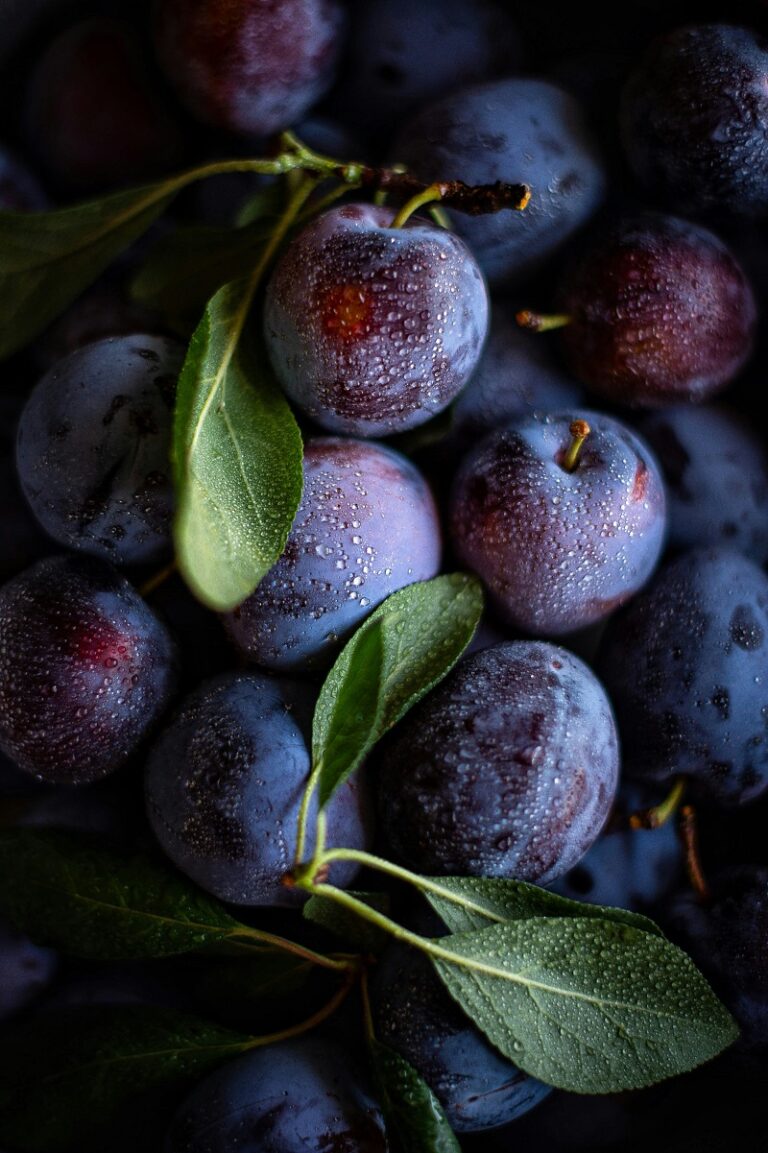 How to Plant Plums: Complete Guide to Growing Plum Trees Successfully ...