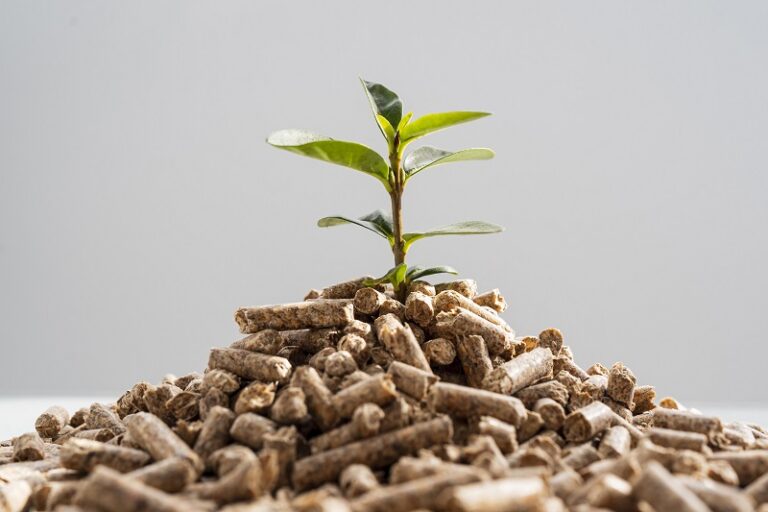 Complete Guide to Crop Fertilizers: Types, Selection, and Application ...
